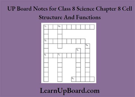 UP Board Notes For Class Science Chapter Cell Structure And Functions Learn UP Board