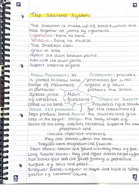 Class Notes Physical Education Gcse Physical Education Stuvia Us