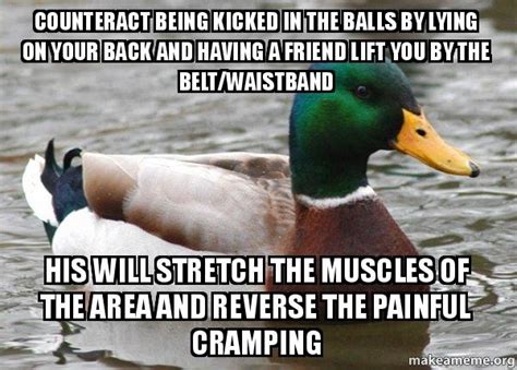 Actual Advice Mallard Quickly Recover From Being Kicked In The Balls