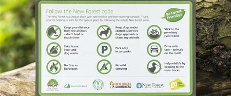 The New Forest Code Forestry England