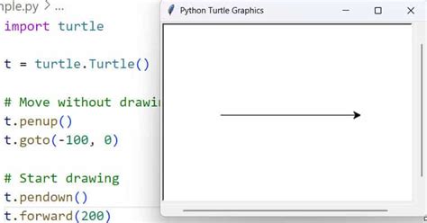 Python Turtle Tutorials Pythonguides