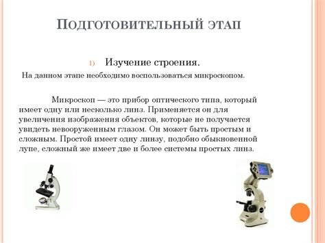 Макет растительной клетки. Биология. Технология - презентация онлайн