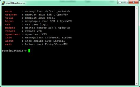 Script Auto Install Ssh Dan Openvpn Untuk Vps Ubuntu 2004 64 Bit