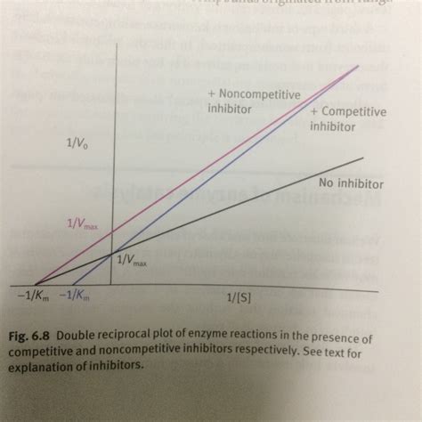 L3 Lineweaver Burk Plot Diagram Quizlet