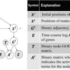 The Probabilistic Model Describes Dependencies Among The Observed Download Scientific Diagram
