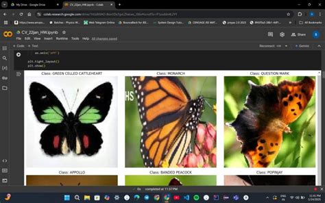 deeplearning cnn resnet152 transferlearning ai machinelearning… shivani virang