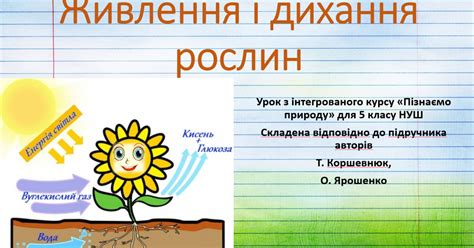 Живлення і дихання рослин Пізнаємо природу 5 клас НУШ за програмою авт Коршевнюк Т В
