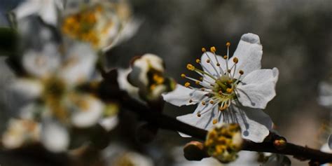 How Does The Syslog Ng Disk Buffer Work Blog Syslog Ng Community