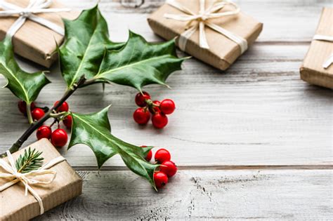 크리스마스 선물 상자 흰색 바탕에 녹색 전나무 분기와 홀리 공장으로 장식 된 소박한 패키지에 0명에 대한 스톡 사진 및 기타