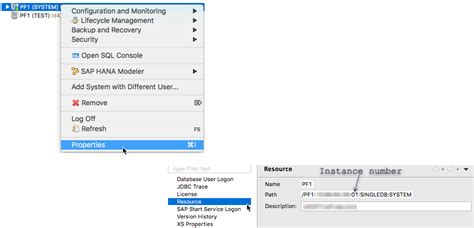 Connecting Sap Hana To Predictive Analytics Exper Sap Community