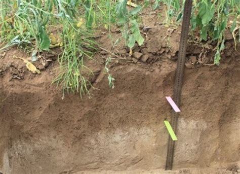 Ус Хөрсний чийгийн мэдээ🪴🪴🪴 2025 оны 4 дүгээр сарын 28 ны байдлаар хөрсний 0 20 0 50 см гүн