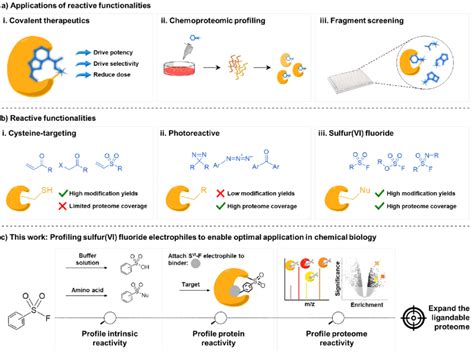 Overview Of Reactive Functionalities In Chemical Biology A Reactive