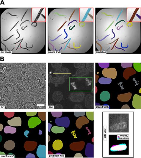 Mmvim2im An Open Source Microscopy Machine Vision Toolbox For Image