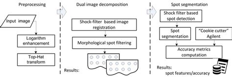 Image Processing Workflow For Hexagonal Grid Layout Image Registration Download Scientific