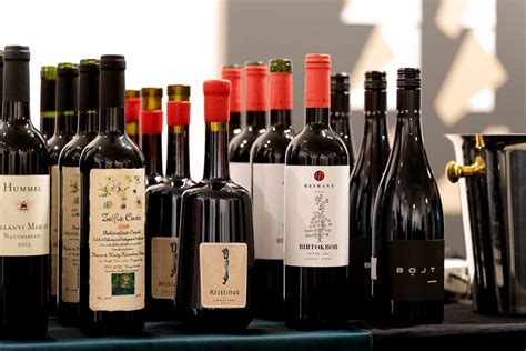 선명한 색채와 아로마의 향연 헝가리와인 수입사 칠락와인 Vip 와인 테이스팅 성료