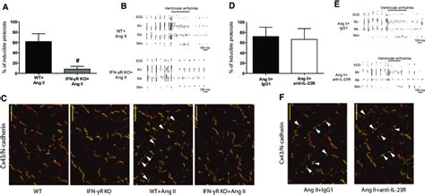 Interferon γ Receptor Ifn γr Deficiency And Anti Interleukin 23 Download Scientific Diagram