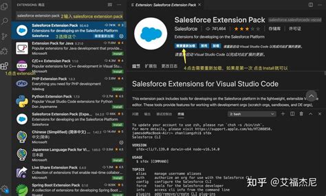 salesforce开测基于web的code builder集成开发环境 开发环境集成组织部署 osart技术