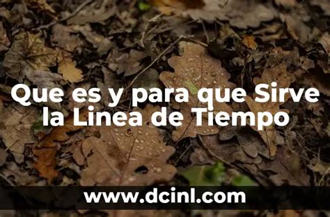 Para Que Es Epicol Jarabe Y Para Que Sirve Ejemplos