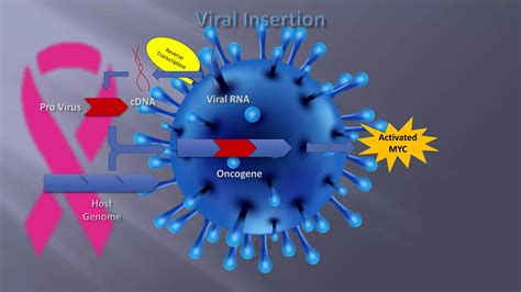 Oncogenesis Biochemistry By Kumail Pptx