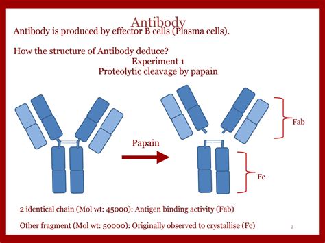Solution Structure Of Ab Ppt Studypool
