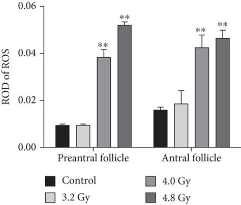 Analysis Of The Ros Levels In The Preantral Follicles And Antral