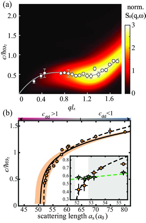 Roton Excitation Spectrum Measured With A 166 Er Dbec Of Cigar Shape