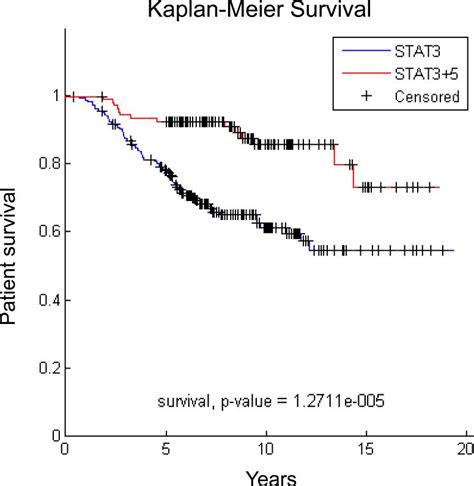 Distinct Roles Of Stat3 And Stat5 In The Pathogenesis And Targeted Therapy Of Breast Cancer Pmc