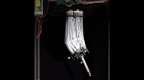 A Robotic Arm Modeled After The Human Shoulder Advanced Science News