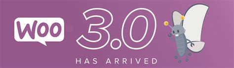 WooCommerce Bionic Butterfly All You Need To Know