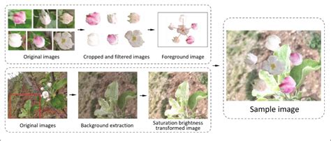 Figure 7 From Application Of Convolutional Neural Network Based Detection Methods In Fresh Fruit