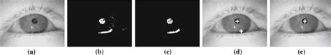 visualization of the set algorithm a input image and b result of download scientific diagram