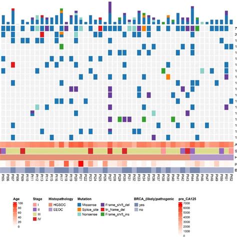 Gene Mutation Spectrum And Clinical Characteristics Of 52 Ovarian Download Scientific Diagram