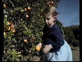 Orange Picking The Teletubbies And Their Fellow Friends Wiki Fandom