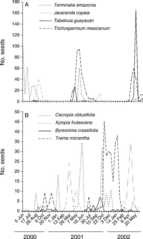 Seasonal Seed Dispersal Patterns Of The Four Most Frequently Dispersed