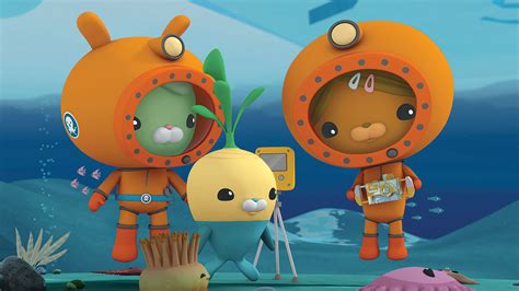 Octonauts Abc My XXX Hot Girl
