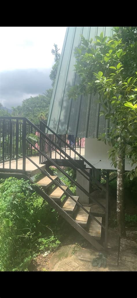 Photos Of Mithra Munnar Treehouse And Rooms Cottage In Munnar