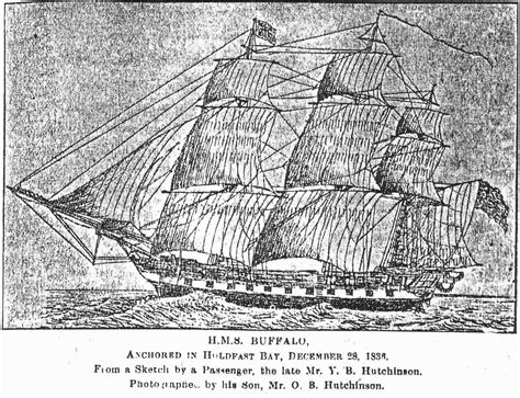 Hms Buffalo Original Hms Buffalo Australia