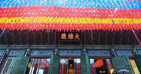 한 달 남은 부처님 오신날…조계사 수놓은 오색 연등 [tf사진관]