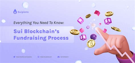 Sui Blockchains Fundraising Process