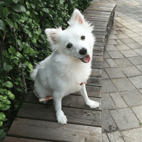 움짤 쉽게 만드는 방법 알려드릴께요 네이버 블로그