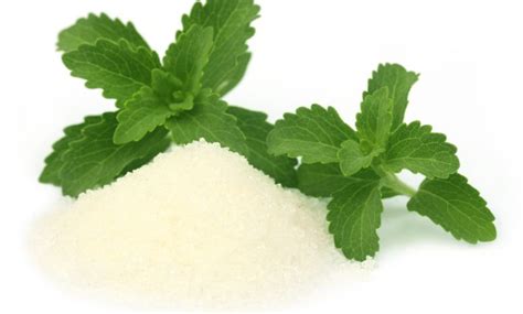 Substitut naturel du sucre: la stévia, un danger pour notre santé