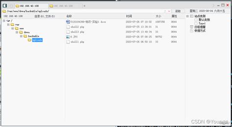 基于owasp实现文件包含漏洞 fputs fopen libsoft php w csdn博客
