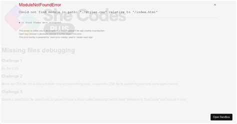 Challenge Missing Files Debugging Codesandbox