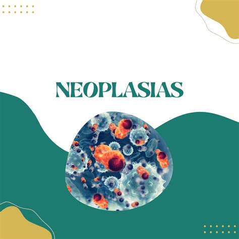 Tumor Benigno E Maligno Qual A Diferença