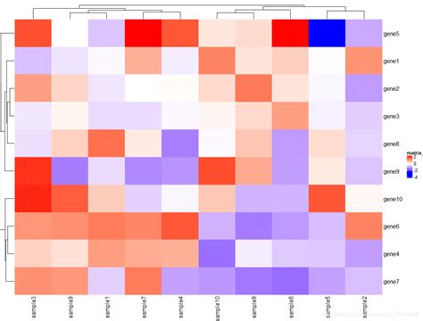 Complexheatmap绘制热图（一） Complexheatmap中heatmap的参数 Csdn博客