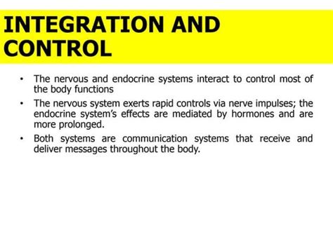nervous system in insects ppt