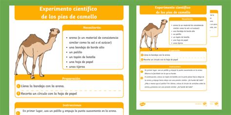 Experimento De Ciencias De Pies De Camello Teacher Made
