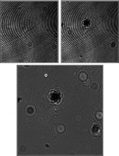 The Normalization Procedure The Top Two Images Show Full Views Of Download Scientific Diagram
