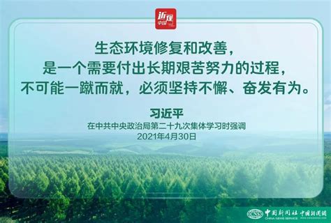 近观中国｜习近平：生态文明建设是关系中华民族永续发展的根本大计 荆楚网 湖北日报网