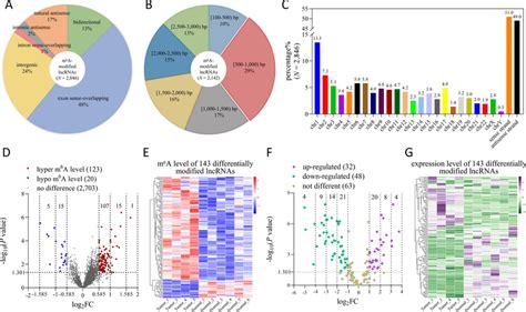 Characteristics Of The M⁶a Modified Lncrna Microarray In Luad Tumor Download Scientific Diagram